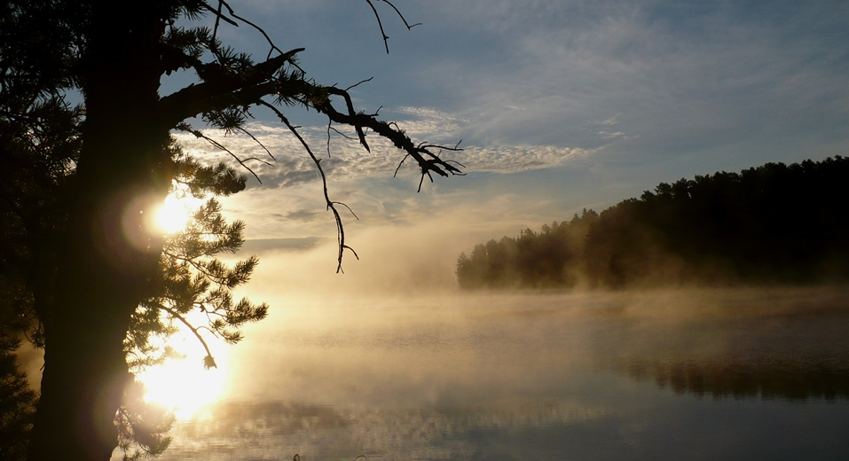 Remembering My First Trip to Quetico – Bending Branches